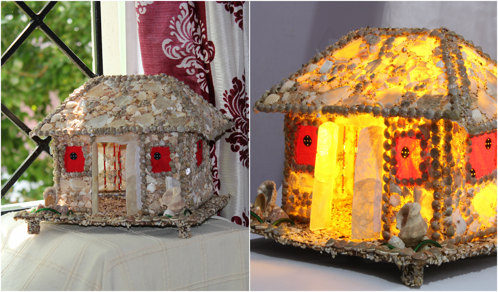 From Fascination To Dedication - The Triumphant Saga Of A Seashell ...