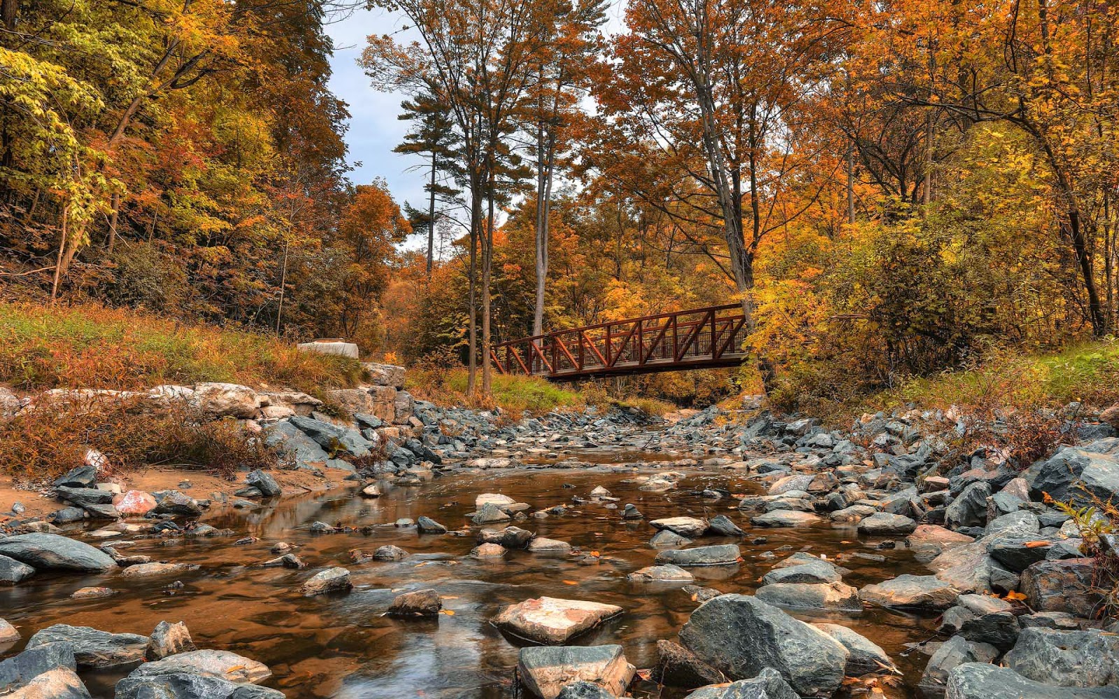 Herfst wallpapers (herfstfoto's)