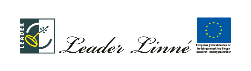 Om fibernät och andra nödvändigheter i glesbygd: augusti 2012