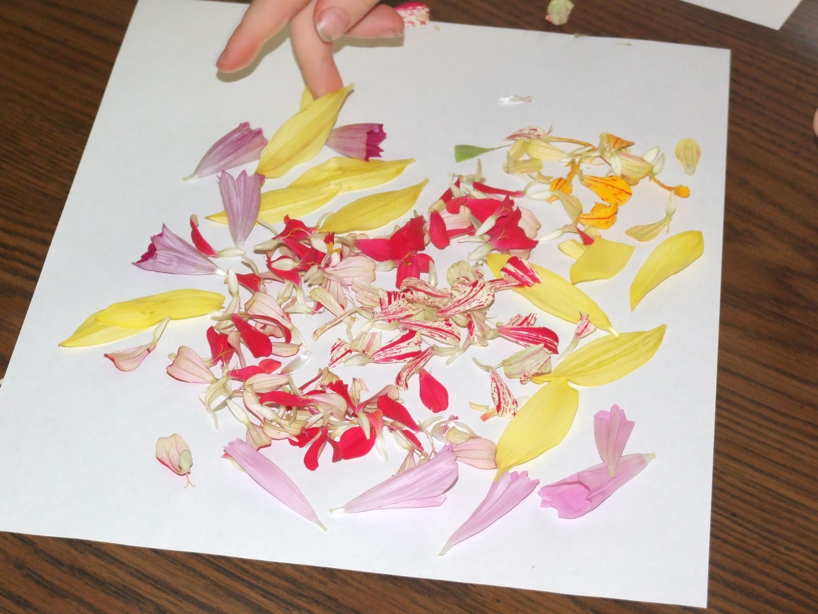 Blissful Moments: Flower Smashing Science