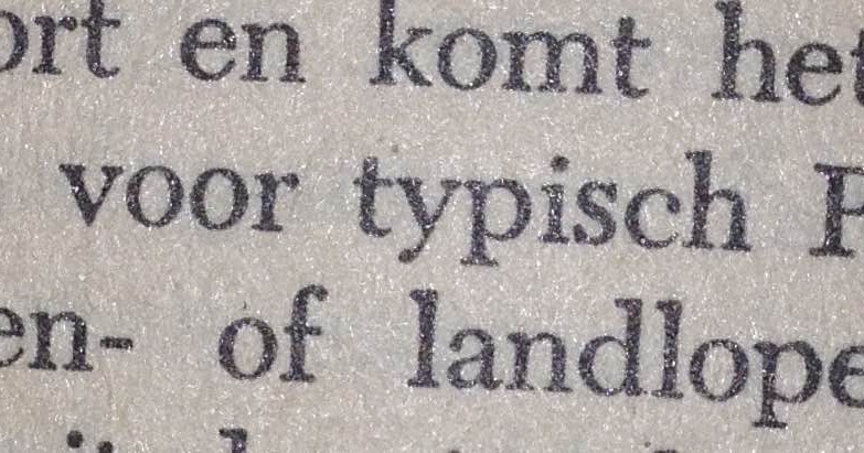 Schrijfwijze: Schrijfwijze: b.v. of bijvoorbeeld? Wel of geen maar?
