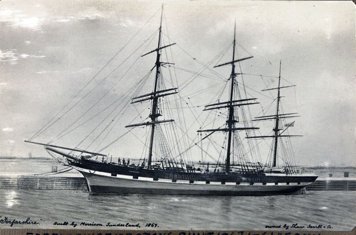 Radecki-Underwood Family History