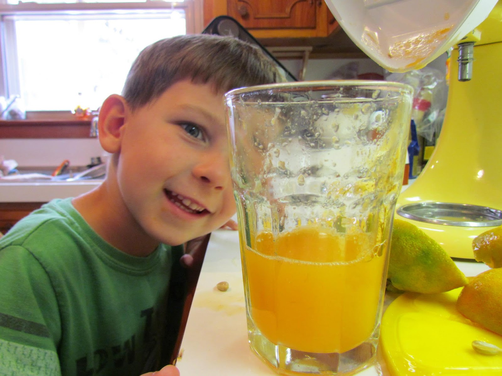 Tim's Backyard: Backyard Citrus Harvest