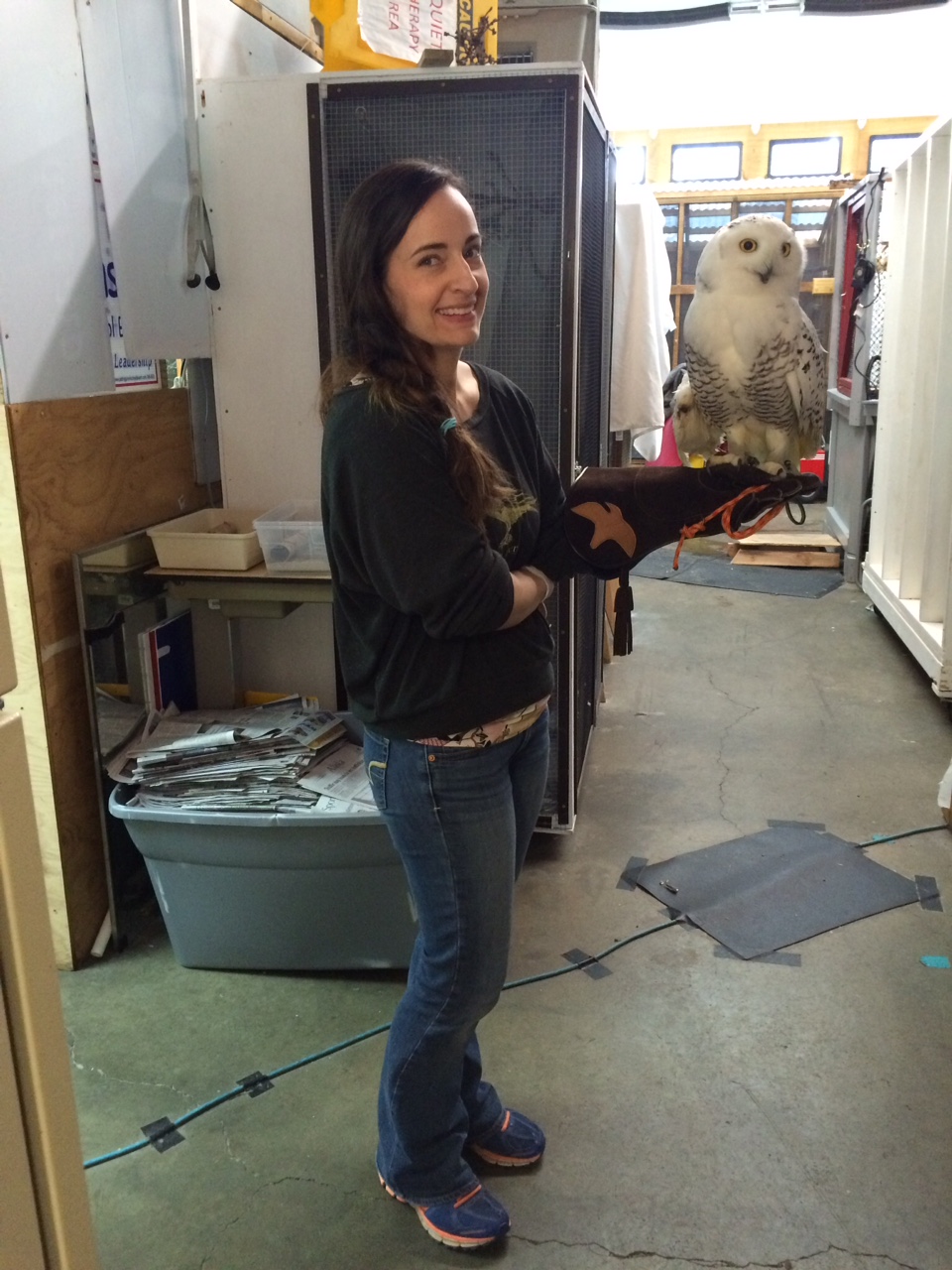 Bird Treatment and Learning Center