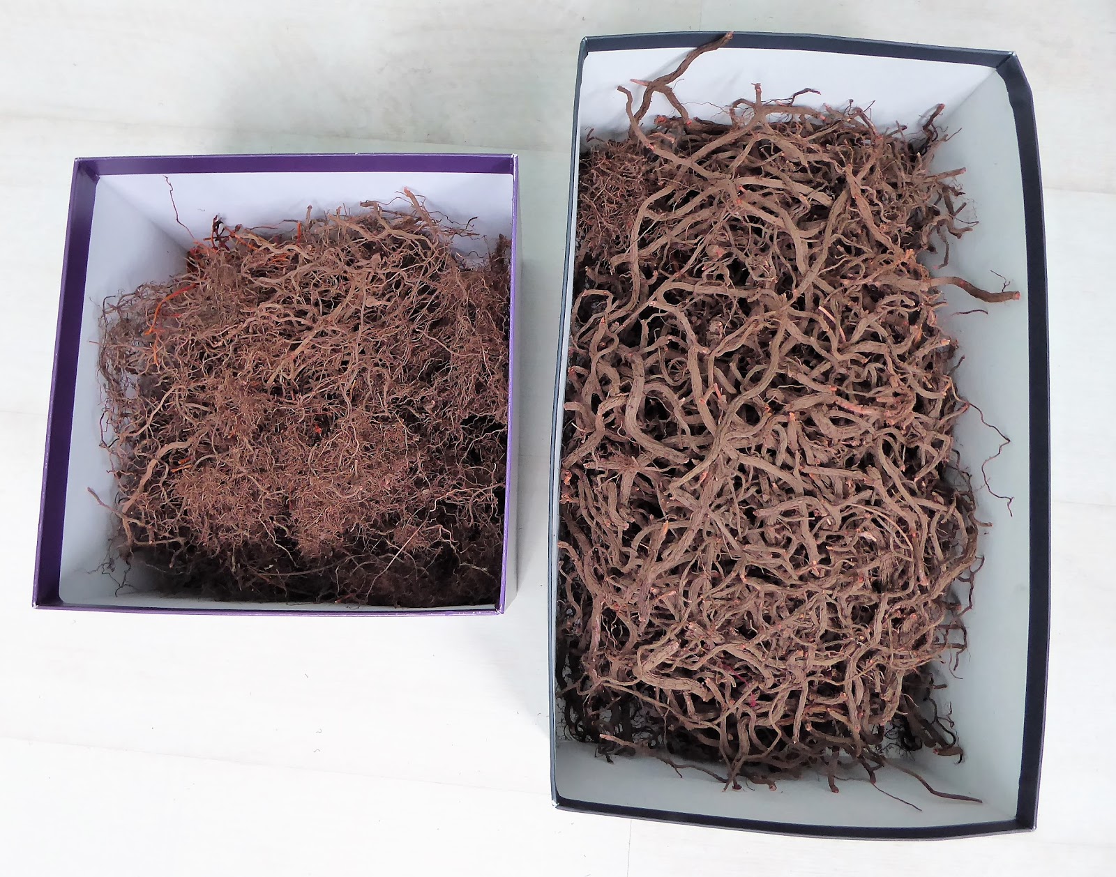 Wool - Tribulations of Hand Spinning and Herbal Dyeing: Fresh Madder ...