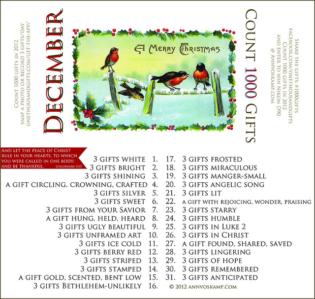 Daily Graces from God: DECEMBER DELIGHTS!