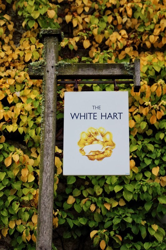 Dartington Hall Gardens