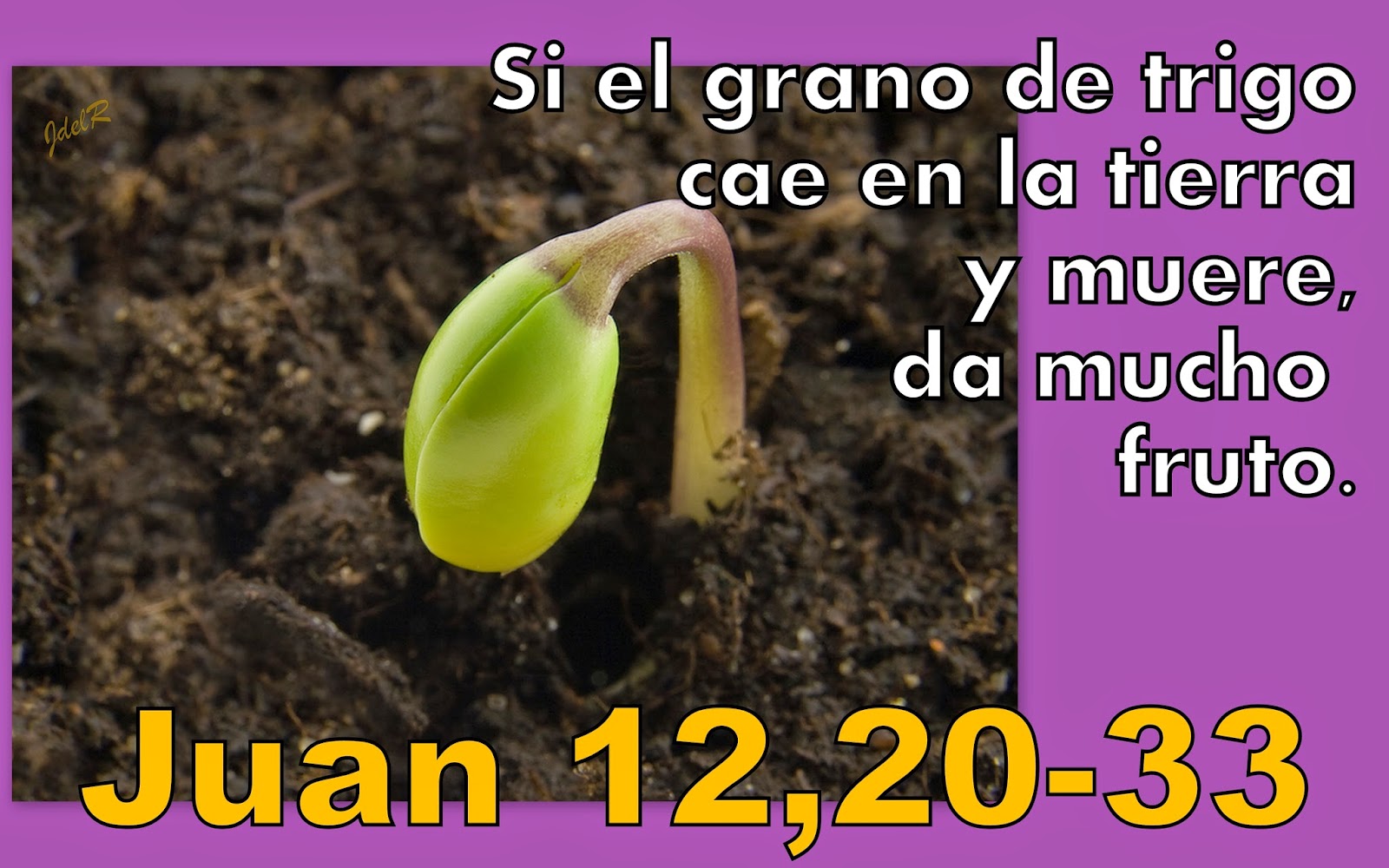 Estoy en Religión...: Evangelio del domingo 22 Marzo 2015, Juan 12,20 ...