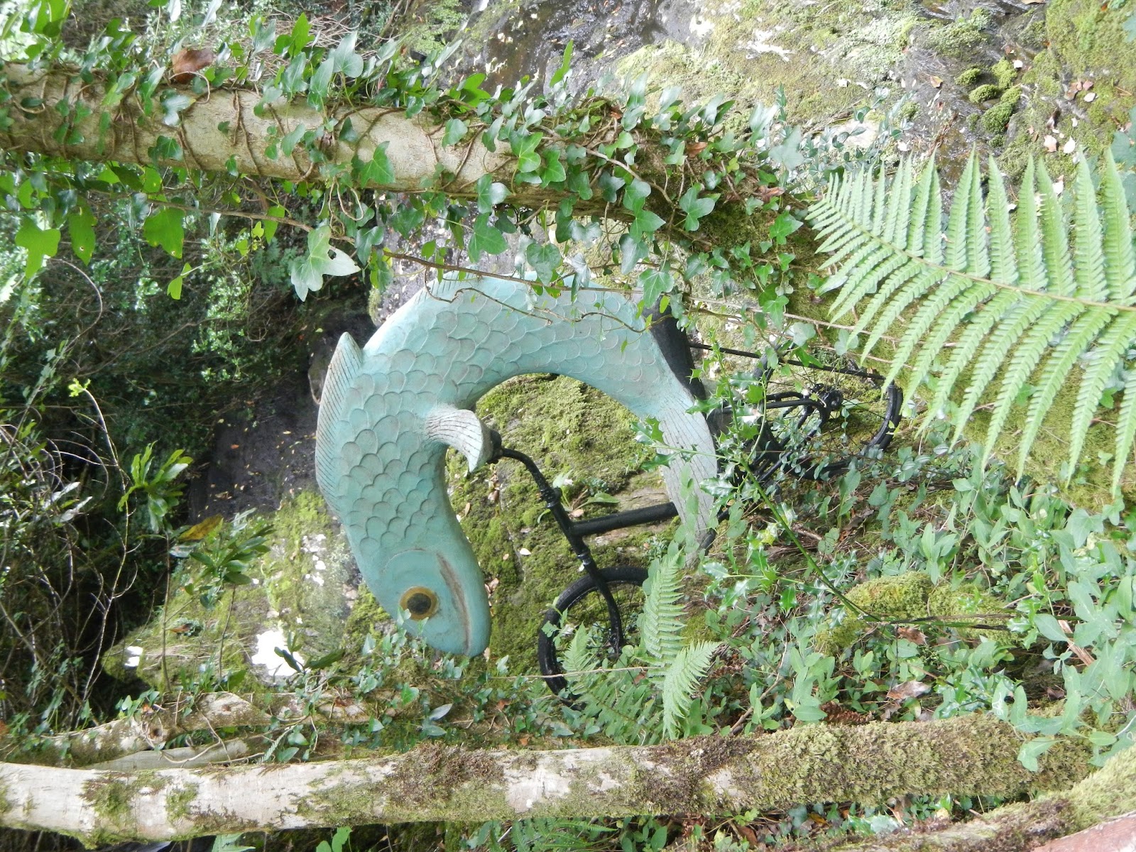 Glengarriff's gem - The Ewe Experience