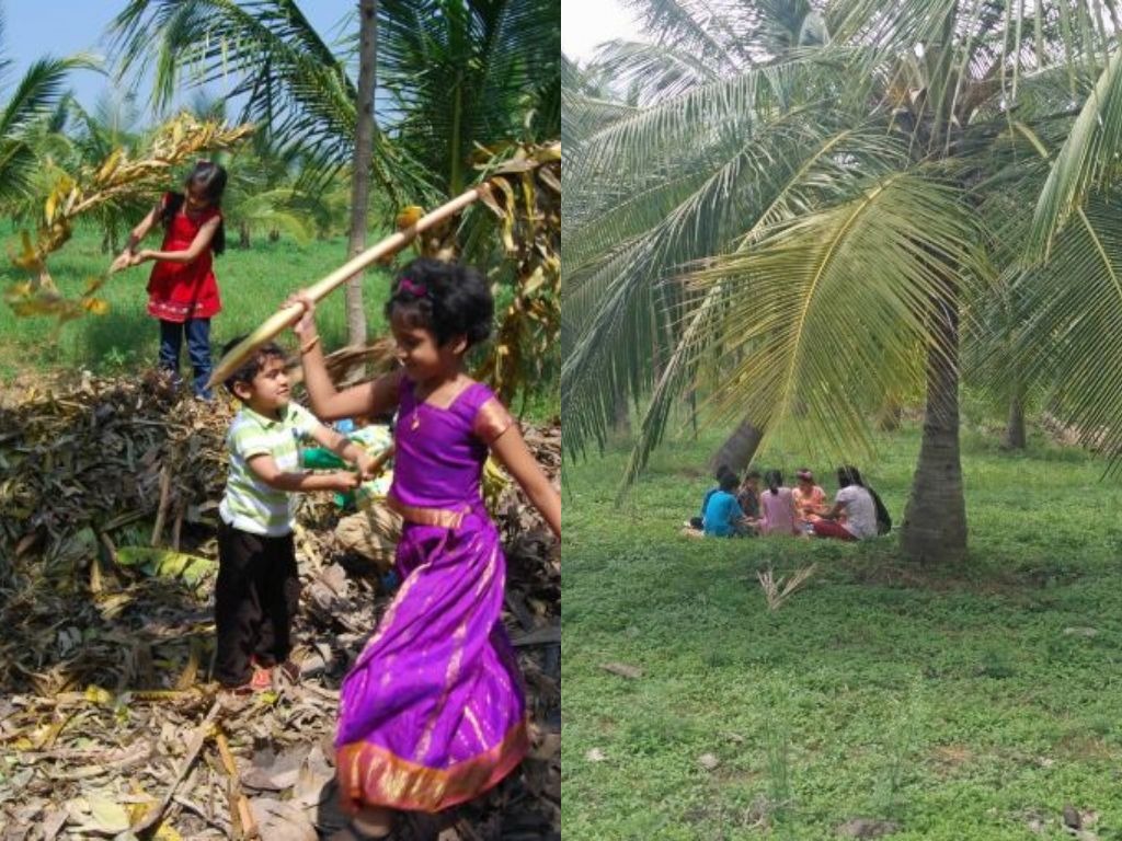 Chiguru Farm - Musings of a farmer: October 2018