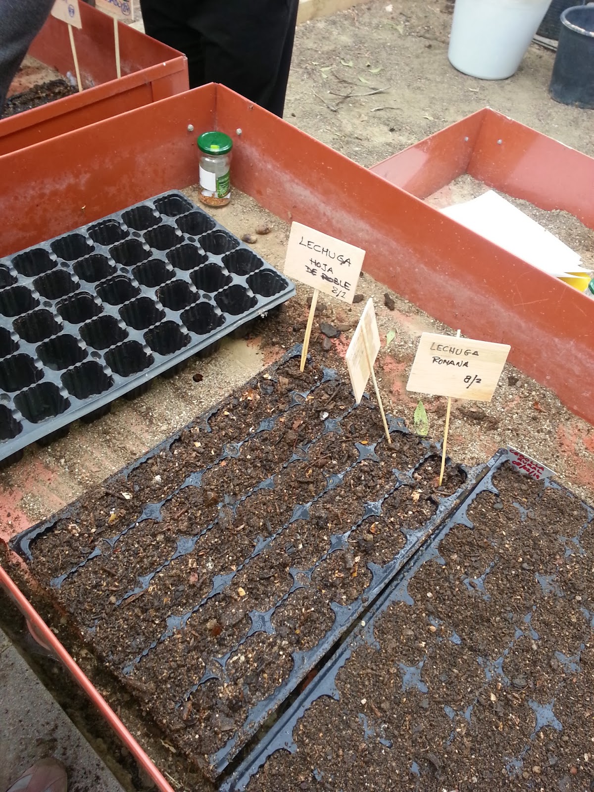 APRENDIENDO HORTICULTURA ECOLOGICA: Semilleros