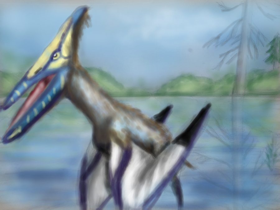 ART Evolved: Life's Time Capsule: Pterosaur Gallery