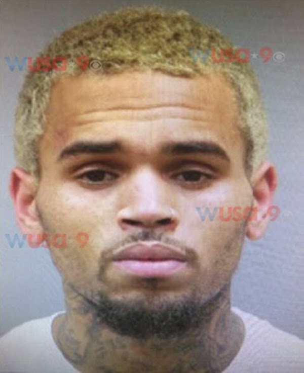 Chris Brown Mug Shot Released (PHOTOS)