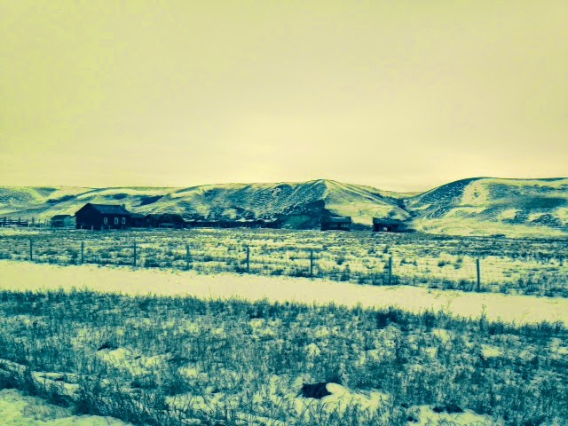 The view from here: Sharples, Alberta