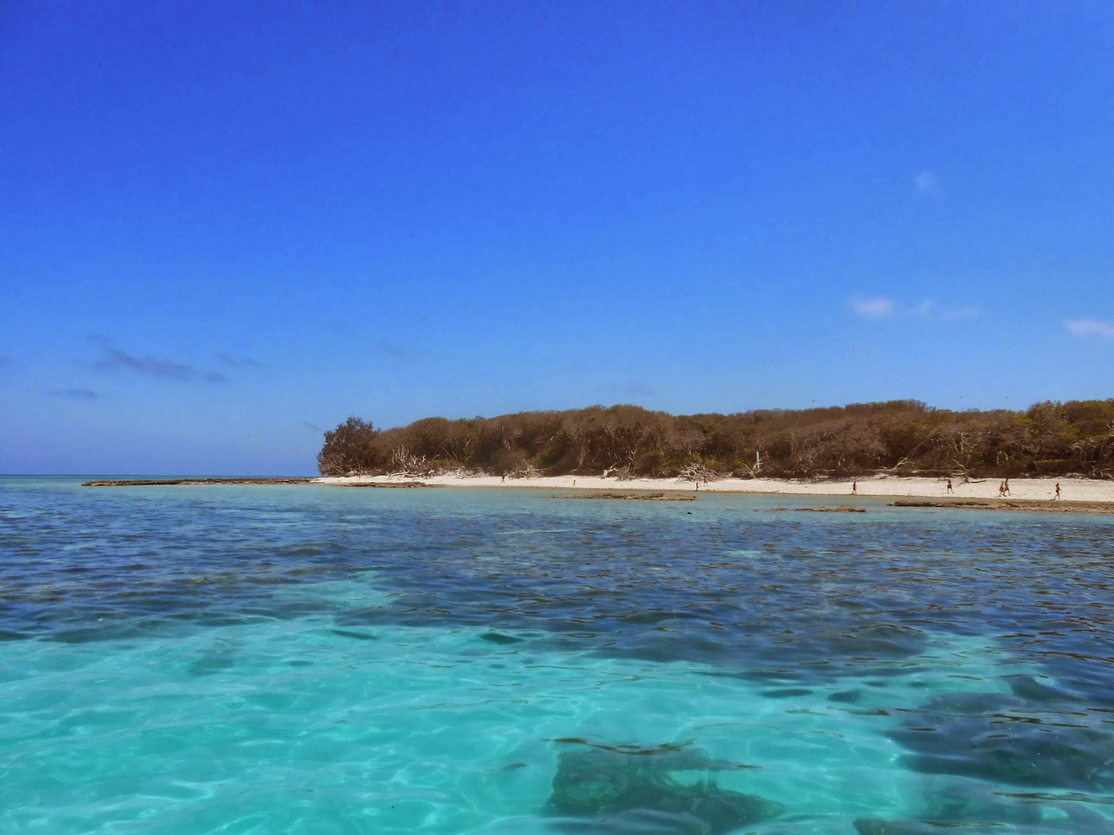 Australia: the Sequel: Lady Musgrave Island