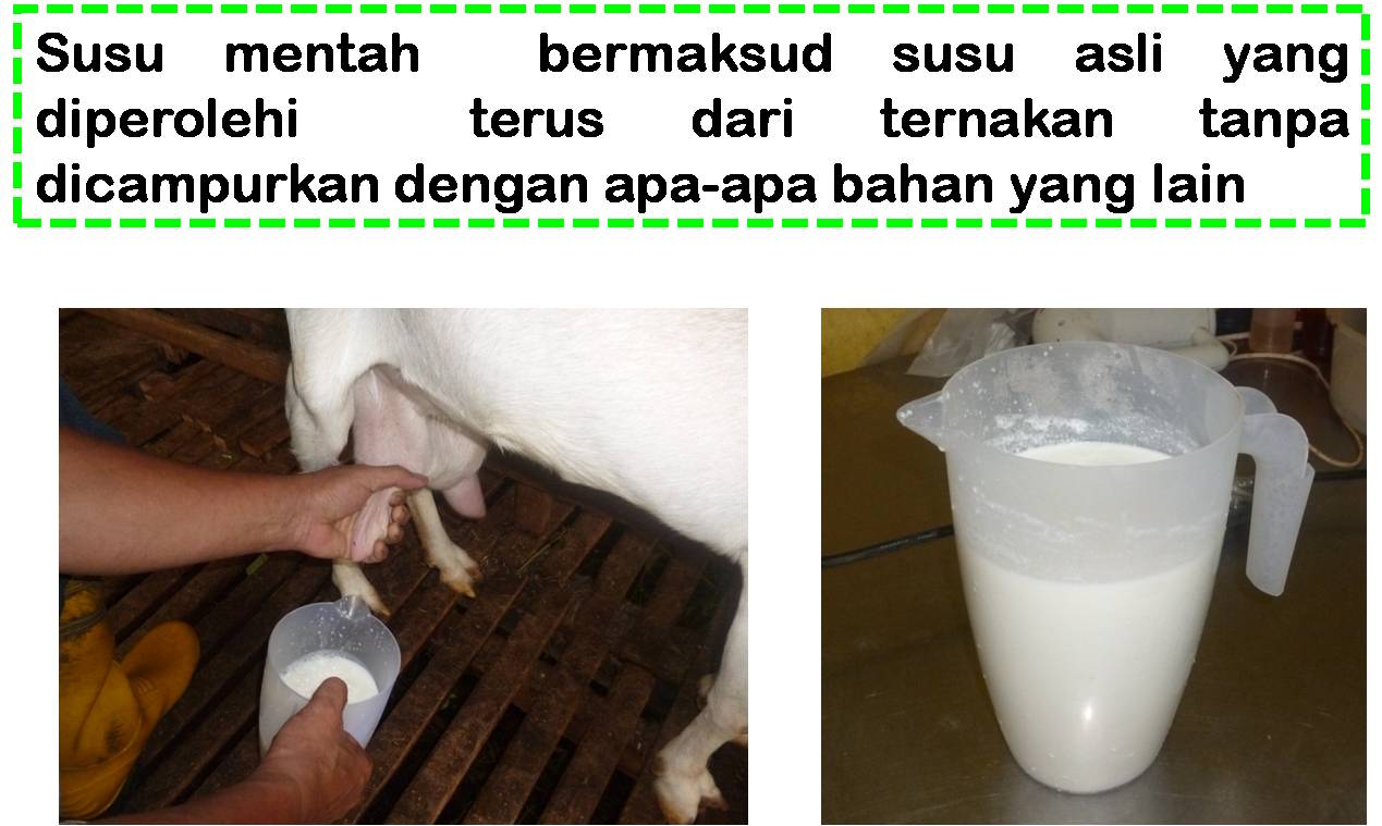 KUMPULAN KIK SURIA: PROJEK SURIA 2012