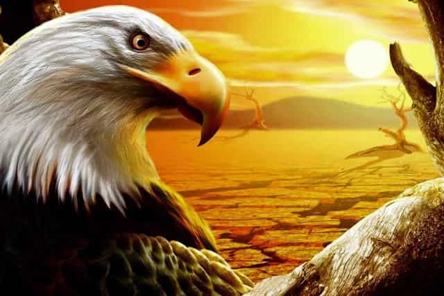 Αετός: Το Σύμβολο του Δία στην Αρχαία Ελλάδα και τον Κόσμο – Ανοπαία ...