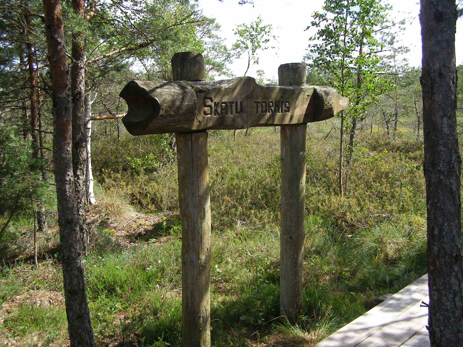 Uz Cenas tīreļa purva takas