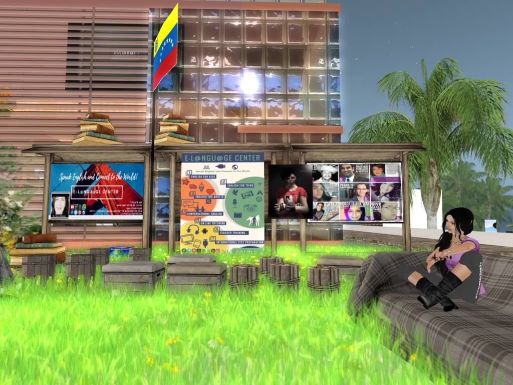 Virtual Worlds: Second Life