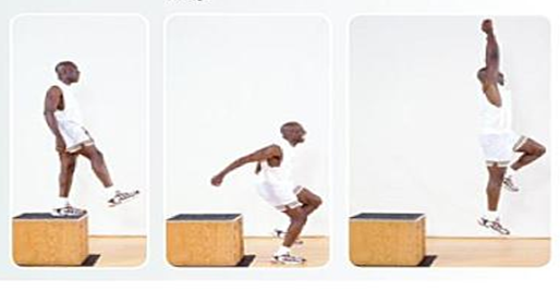 Plyometric Training in Sprinters