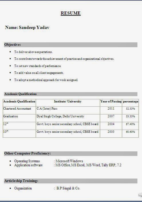 curriculum vitae format pdf