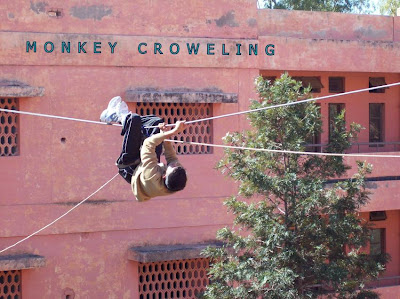Youth Adventure Club: Monkey Crawling