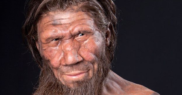 "Os neandertais seguen vivos no noso xenoma"