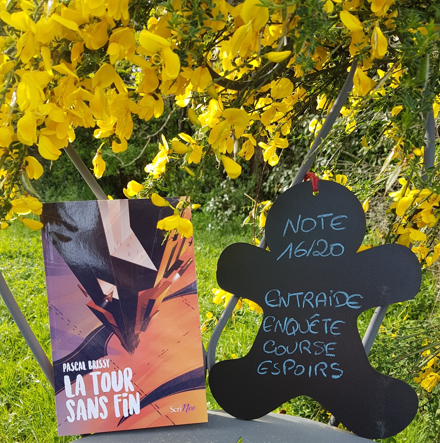 Les lectures de Mylène: La tour sans fin de Pascal Brissy