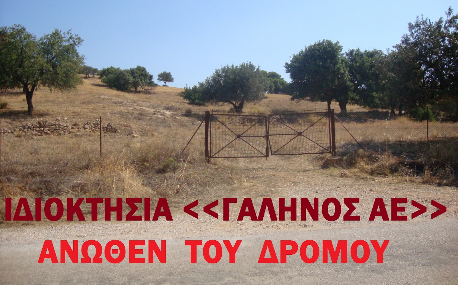 ΟΙΚΙΣΤΙΚΗ ΦΑΡΜΑΚΟΠΟΙΩΝ ΑΤΤΙΚΗΣ - ΓΑΛΗΝΟΣ ΑΕ: 2012