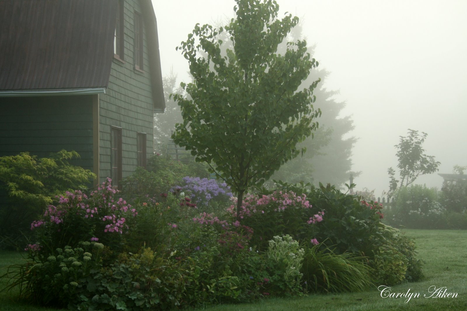 Aiken House & Gardens: A Misty Morn in the Garden