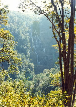Chhattisgarh : Exp CG: Jashpur District Chhattisgarh : kunkuri ...