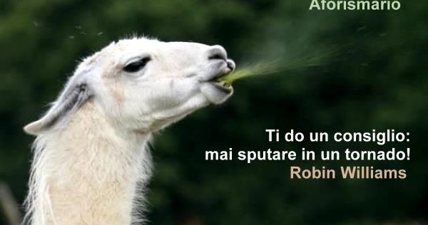 Aforismi, frasi e proverbi sullo Sputare | Aforismario