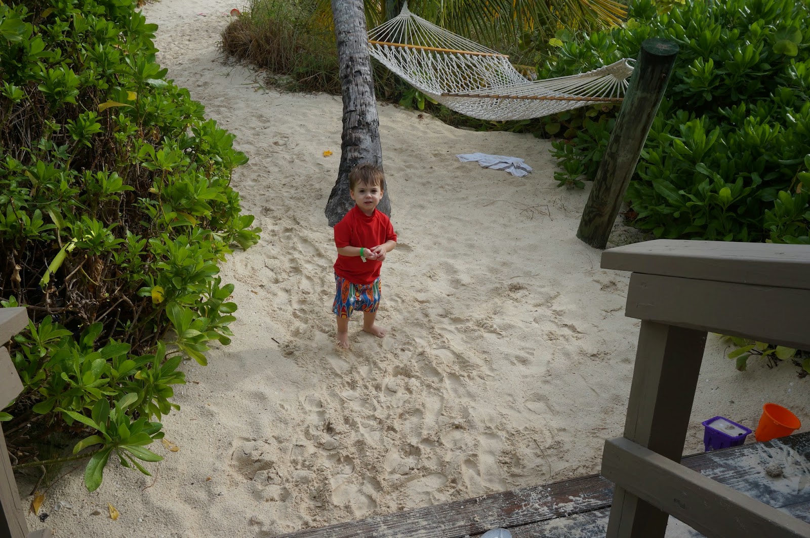 Simple Home in Paradise: The most amazing family vacation EVER!