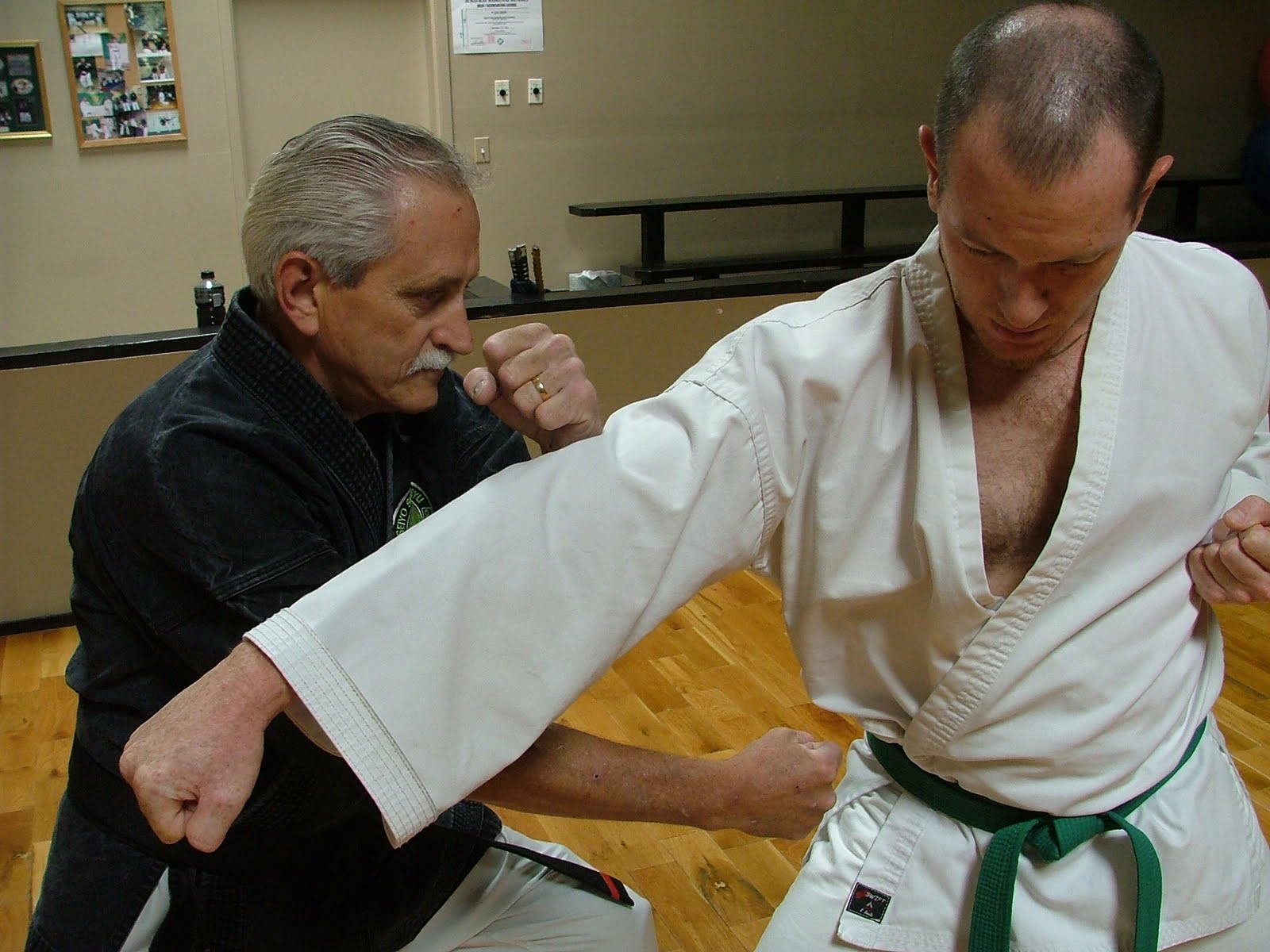 Karate Stances - A Perfect Karate Foundation: Karate's Perfect Stances