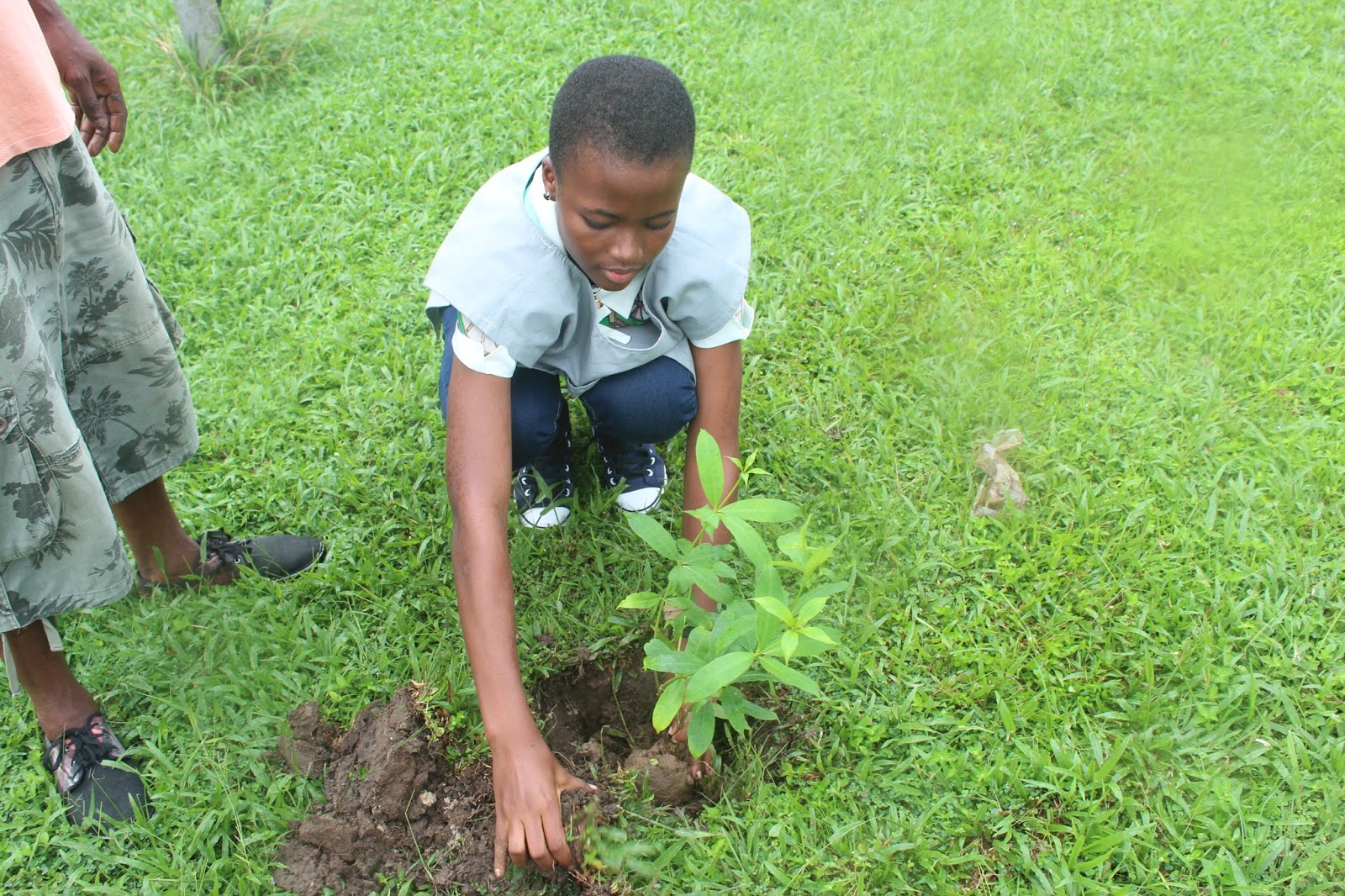 ONUESOKE FOUNDATION: AFFORESTATION AND ITS IMPORTANCE