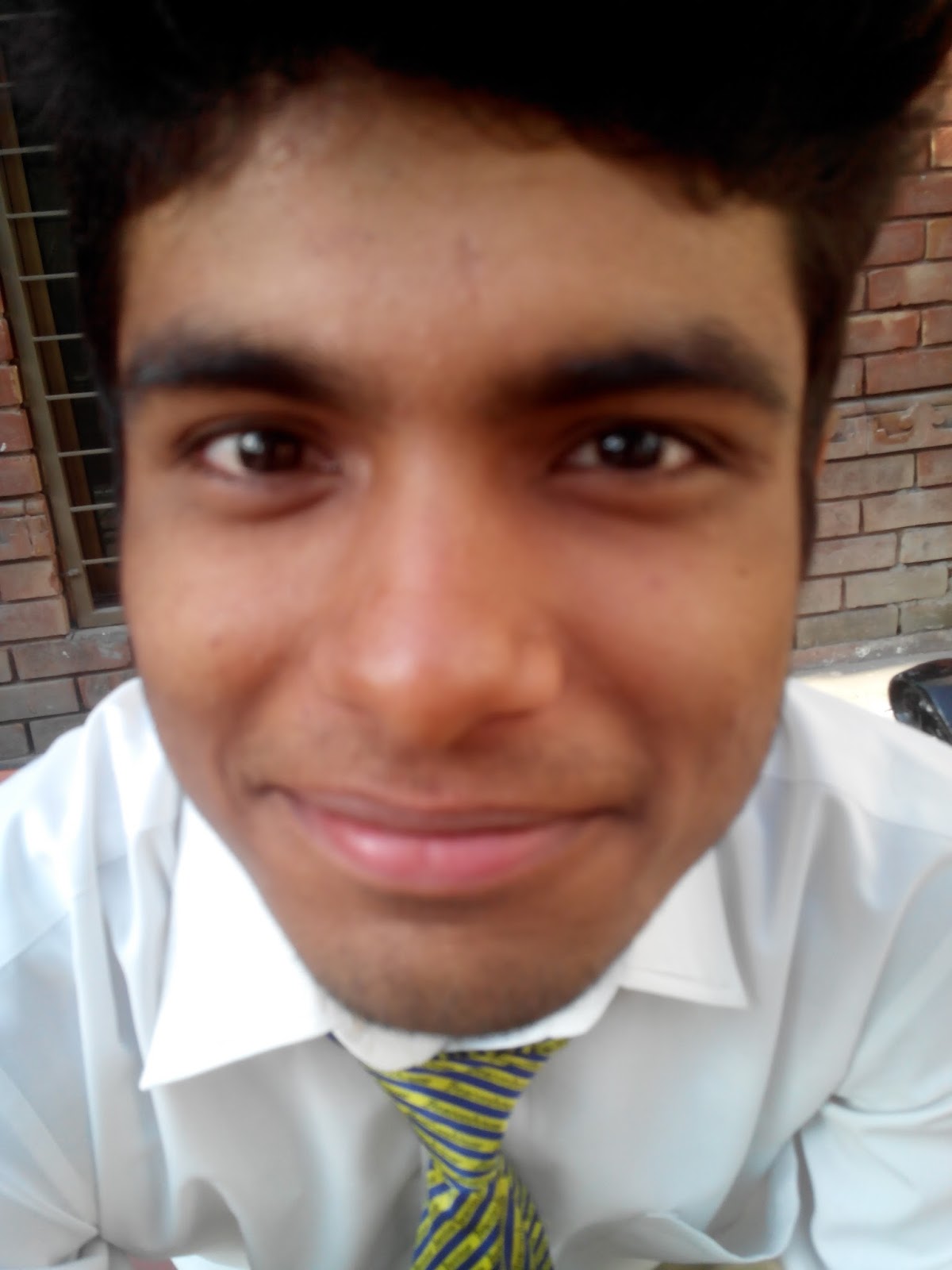 The Confessions and Works Of Hamza Hasan : 2015