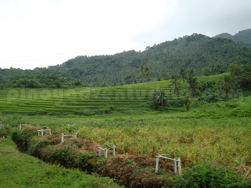 Biliran - Iyusan Rice Terraces and Mainit Hot Spring | Blogs, Travel ...