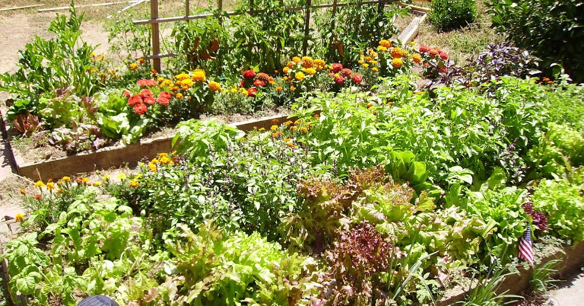 Endangered New Jersey: Planning Your Garden State Vegetable Garden