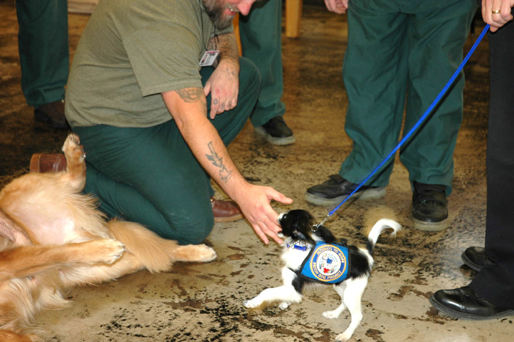 PRISON DOG PROGRAMS ~ BRIDGES and PATHWAYS of COURAGE: A FEW PRISON DOG ...