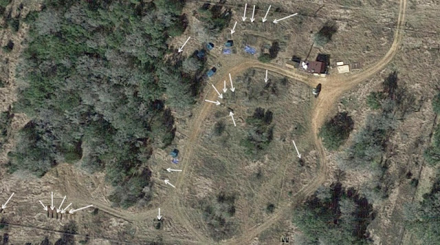 Life on: [ The Seventh Cloud ] : What dead bodies can tell us. (Warning ...