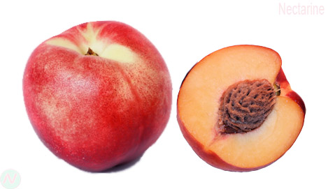 Fruits Name, Meaning & Image | Fruits Vocabulary | Necessary Vocabulary ...