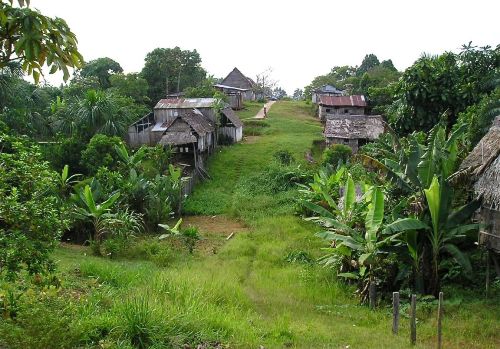 The Best Travelling: Amazon Jungle, The Rainforest Homes