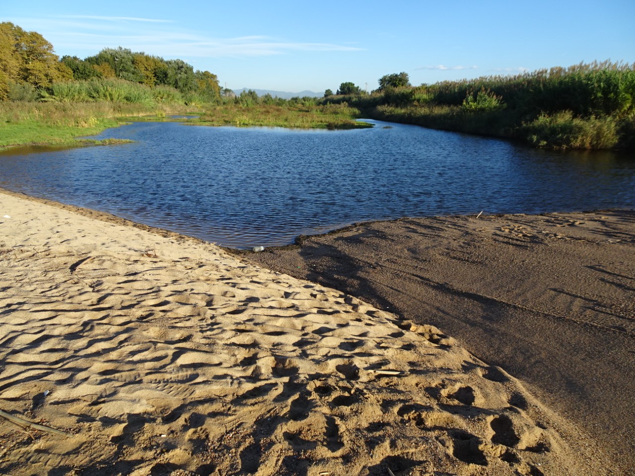 La Natura a la Baixa Tordera: Desembocadura de la Tordera 3/10/2018