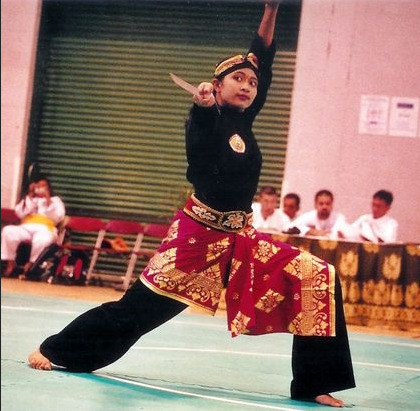 Kategori Pencak Silat dalam Pertandingan - Pencak Silat Indonesia