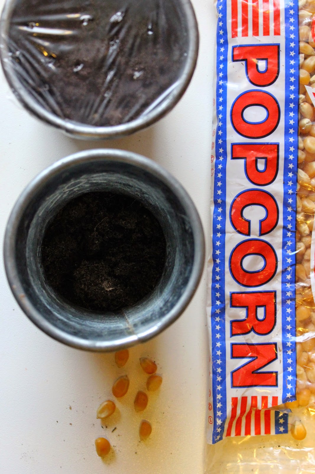 Popcorns planta - the Glassberg