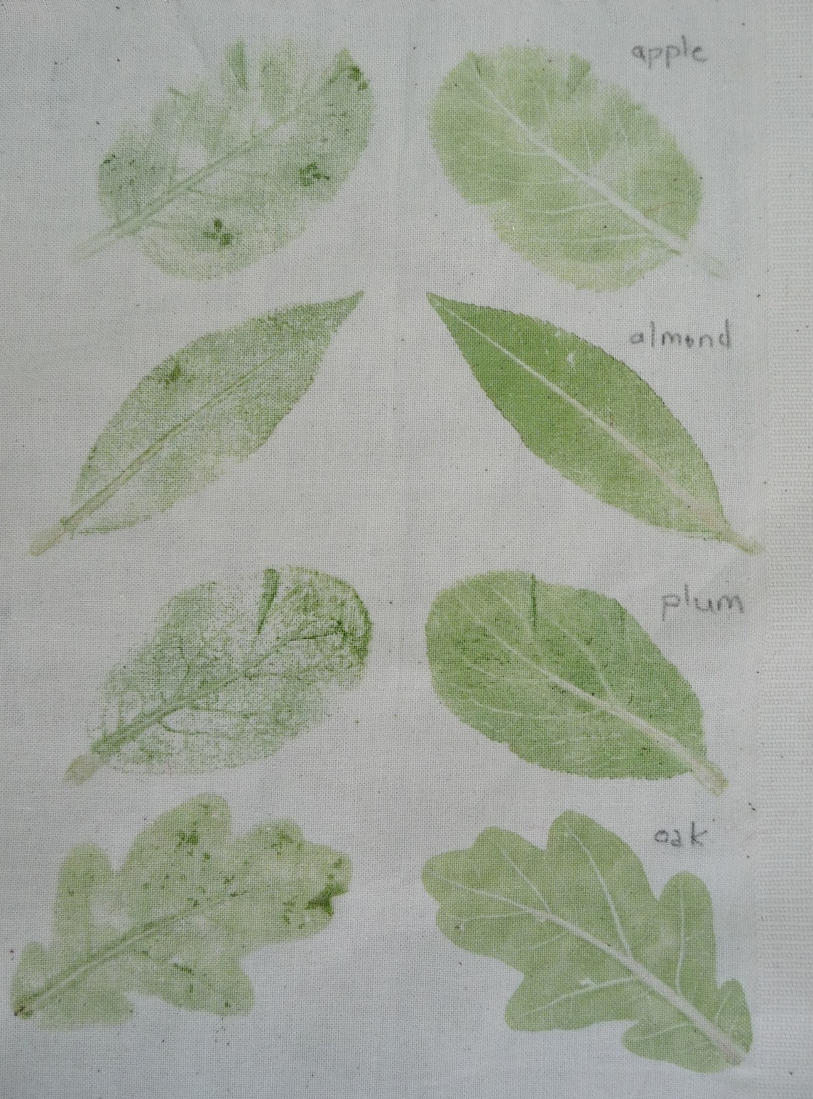 Wool - Tribulations of Hand Spinning and Herbal Dyeing: Hammer Printing ...