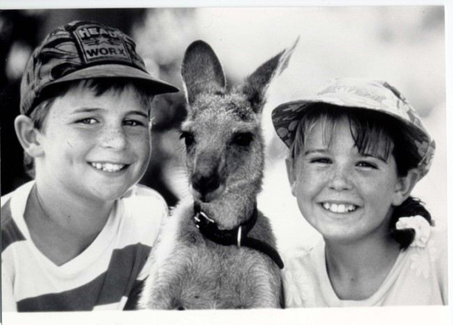 Hang A Lantern On It: Skippy The Bush Kangaroo As Embodiment Of ...