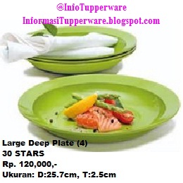 LARGE DEEP PLATE (4) - Tupperware