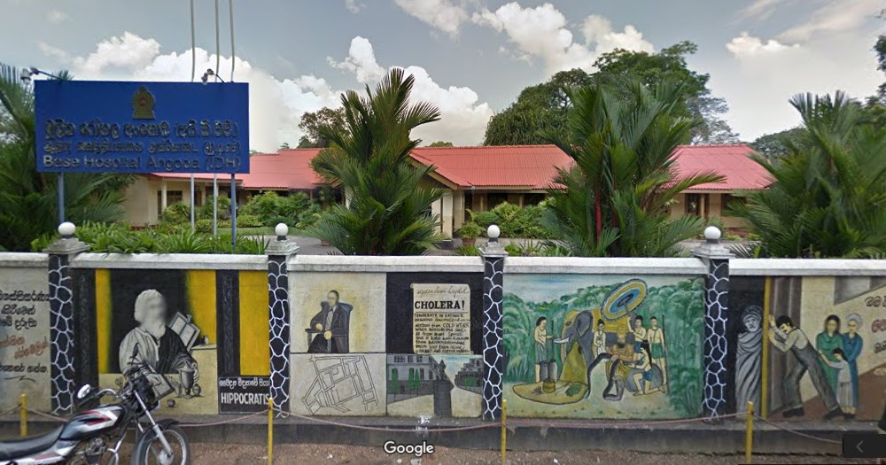 State Hospitals in Sri Lanka: National Institute of Infectious Diseases ...