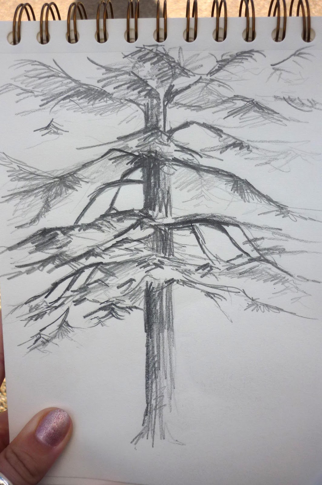 Hannah May Degree Blog: Drawing Trees